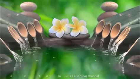 Relaxing Music 247 Sleep Music Stress Relief Music Spa Meditation