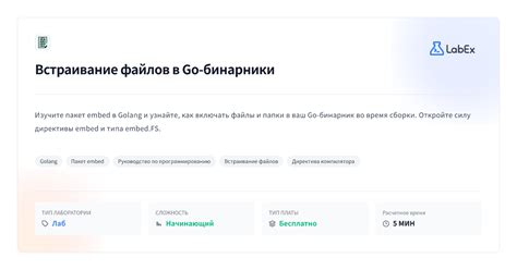 Встраивание файлов в Go бинарники Labex