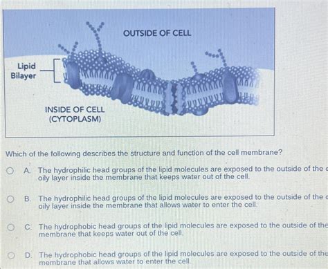 Which Of The Following Describes The Structure And Chegg