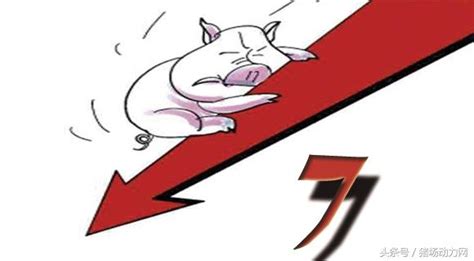豬價「破7」地區越來越多，政府是不是該做點啥了？ 每日頭條