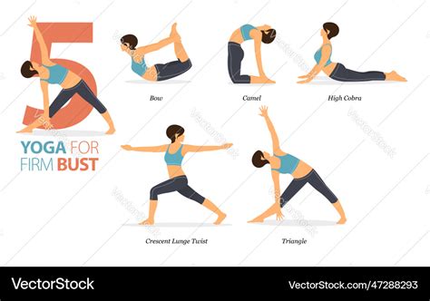 5 Yoga Poses Or Workout Firm Bust Concept Vector Image