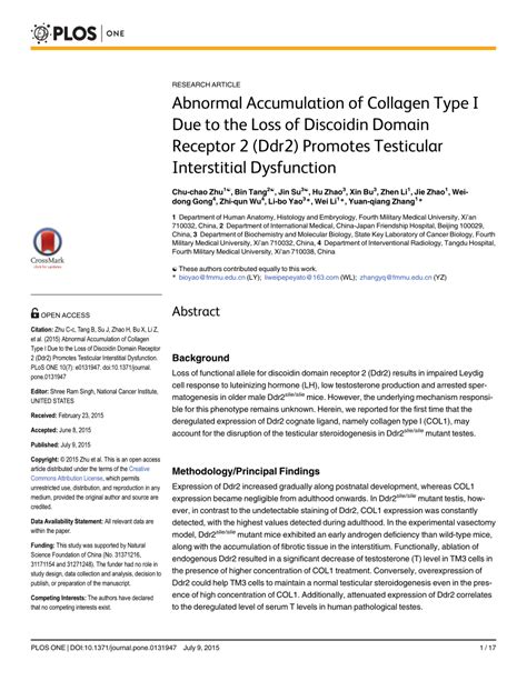 Pdf Abnormal Accumulation Of Collagen Type I Due To The Loss Of