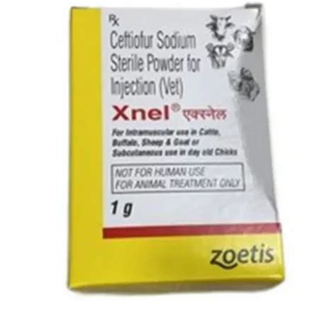 Zoetis Veterinary Injection At ₹ 120vial Excede In Bengaluru Id