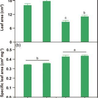 Leaf Area A And Specific Leaf Area B Of Undefoliated Control And Download Scientific