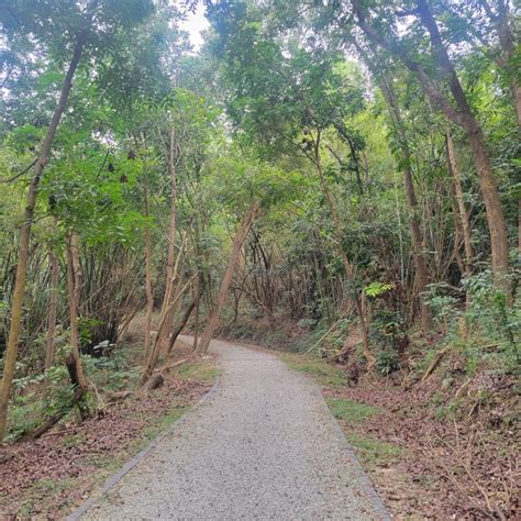 關廟森林公園 健行筆記