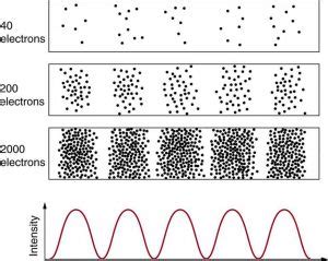 29 7 Probability The Heisenberg Uncertainty Principle College