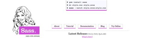 sass is an extension of css3 adding nested rules variables mixins selector inheritance and