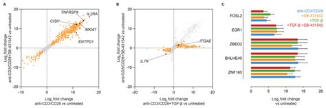 A Differential Gene Expression Analysis Between Anti Cd3cd28 Beads