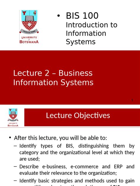 Bis100 Lecture 2 Business Information Systems Pdf
