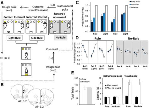 Adaptive Encoding Of Outcome Prediction By Prefrontal Cortex Ensembles Supports Behavioral