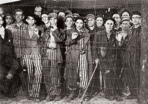 역사 속 한 장의 사진 홀로코스트holocaust 부헨발트 수용소의 유태인들 월간조선