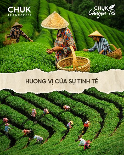 Chuk Chuyện Trà HƯƠng VỊ CỦa SỰ Tinh TẾ Chuk Tea And Coffee