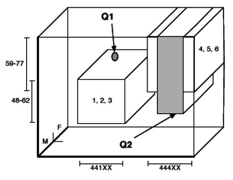 Three Dimensional 3d Spatial Representation Of The Anonymous Public Download Scientific