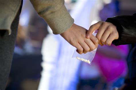Blitz Della Polizia Contro La Criminalità Giovanile 73 Arresti In