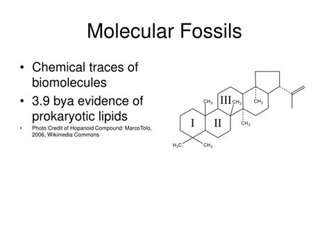 Ppt Origin Of Life And Prokaryotes Powerpoint Presentation Free