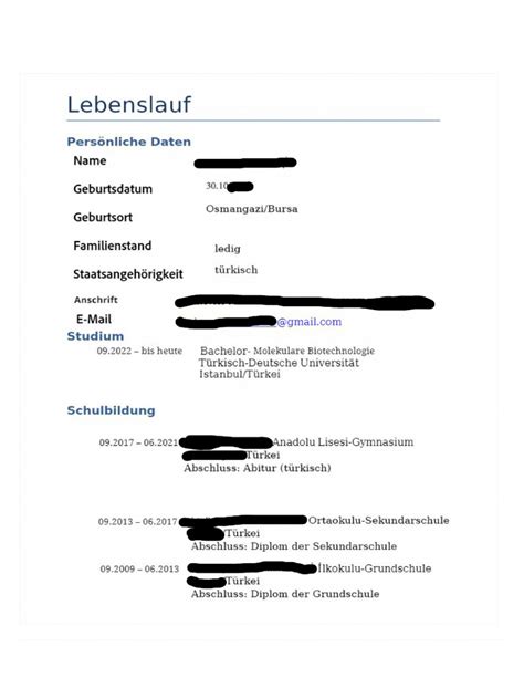 Lebenslauf Pdf