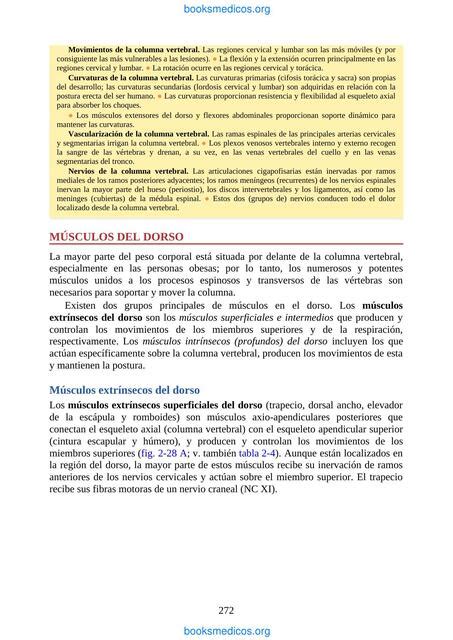 Musculos Del Dorso Luisa Sosa Udocz