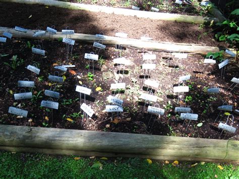 What Grows There Hugh Conlon Horticulturalist Garden Advisor And