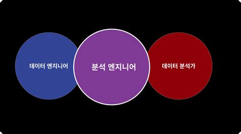 새로운 데이터 직군 데이터 애널리틱스 엔지니어란 요즘it