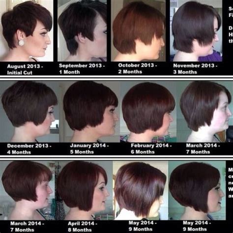 Oxlisalouxo Hair Growth Stages Growing Out Hair Growing Short Hair