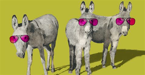 Opinion The Absolute Worst Argument For Why Trump Wont Win The New