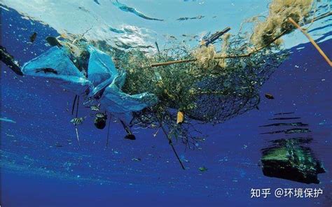 为什么要保护海洋环境？ 知乎