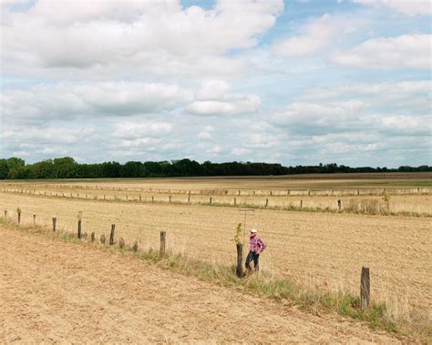 Bertrand Stofleth Artworks