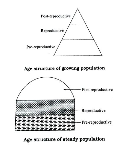Explain An Age Structure Diagram Shows Whether Interpret Dat