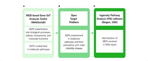 bioinformatic analysis conducted by using a web based gene set