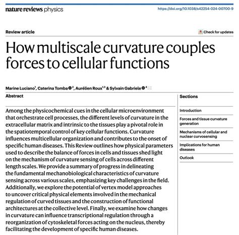 Our Review On Multiscale Curvature Is Out In Nature Reviews Physics