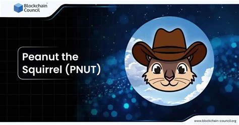 Peanut The Squirrel Pnut Blockchain Council