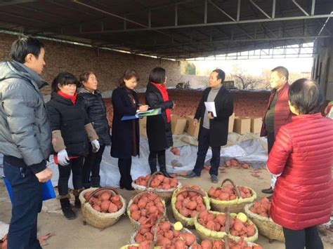 淘宝“村播计划”：农民变网红，手机是农具，直播成农活农村
