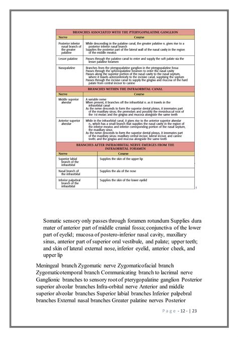 Trigeminal Nerve The Maxillary And The Mandibular Branches PDF