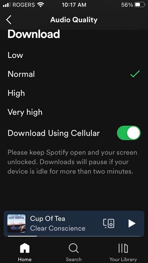 How To Disable Mobile Data For Spotify On IPhone