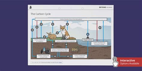 Gcse The Carbon Cycle Hotspot Teacher Made Twinkl