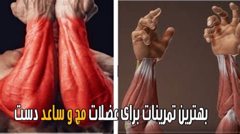 تمرینات بدنسازی مخصوص عضلات مچ و ساعد دست