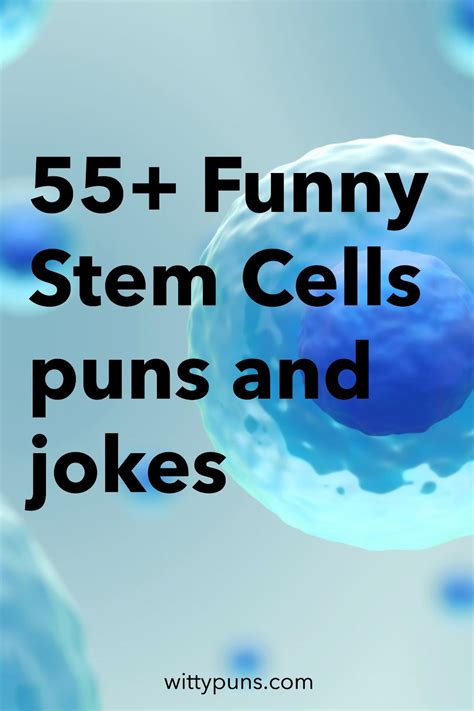 60 Stem Cell Puns And Jokes That Will Make You Laugh Best Jokes Puns