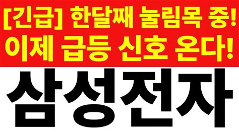 삼성전자 주가전망 💥한달째 눌림목 진행중 언제쯤 반등할 것인가 삼성전자전망 및 심층분석 💥삼성대응전략 Youtube