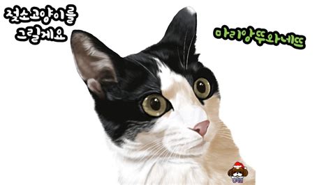 젖소고양이 길고양이 입양 마리앙뚜와네뜨를 그려볼게요 Youtube