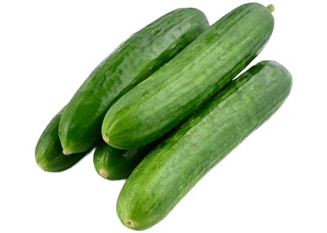오이 신선한 야채 녹색 사진 오이 야채 채소 Png 일러스트 및 이미지 에 대한 무료 다운로드 Pngtree