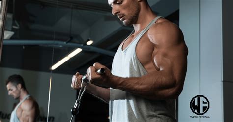 The Best Bicep Cable Workouts And Exercises For Bigger Biceps