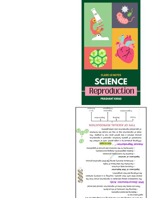 Reproduction Prashant Kirad Booklet Pdf Human Reproduction