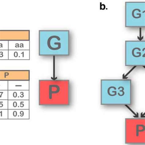 Examples Of Bayesian Network Structures A A Simple Bayesian Network