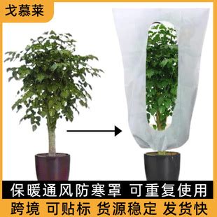 植物防冻防寒罩果园果树防风保温保护罩冬季赶鸟无纺布保暖罩 阿里巴巴