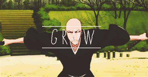 Ikkaku Madarame Bleach Anime Photo 35061685 Fanpop