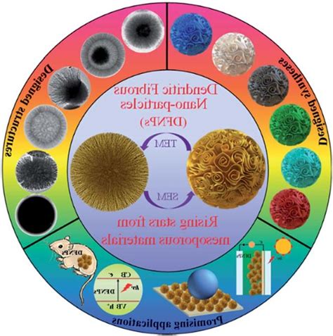 Schematic Illustration Of Designed Syntheses Designed Structures And Download Scientific