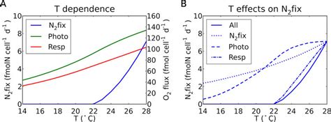 Simulated Temperature Dependence On N 2 Fixation Photosynthesis And