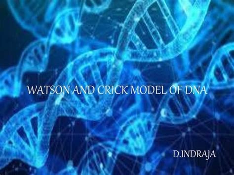 Dna Structure Double Helix Structure Ppt