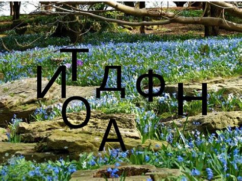 Применение формул сокращённого умножения 7 класс презентация онлайн