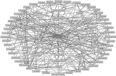3 The Network Of Direct Or Indirect Ecological Interactions Of